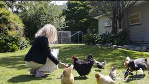 Jodine Twose | Harcourts Platinum Blue | Harcourts New Zealand