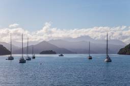 Harcourts Picton & Sounds | Your Local Real Estate Specialists