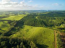 Nutrien Harcourts | Leading Rural Real Estate Specialists in Australia