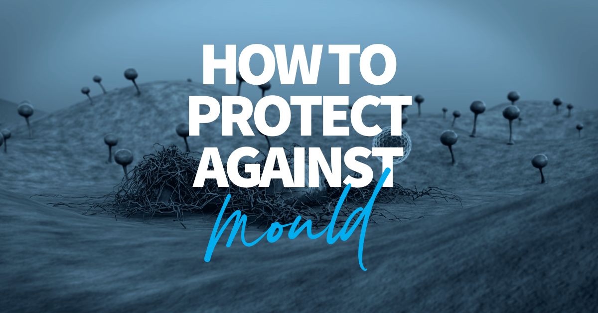 How To Protect Against Mould | Harcourts Mandurah Resources | Harcourts ...