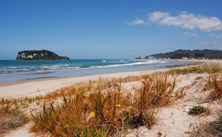 What to consider before buying a bach | Resources | Harcourts New Zealand