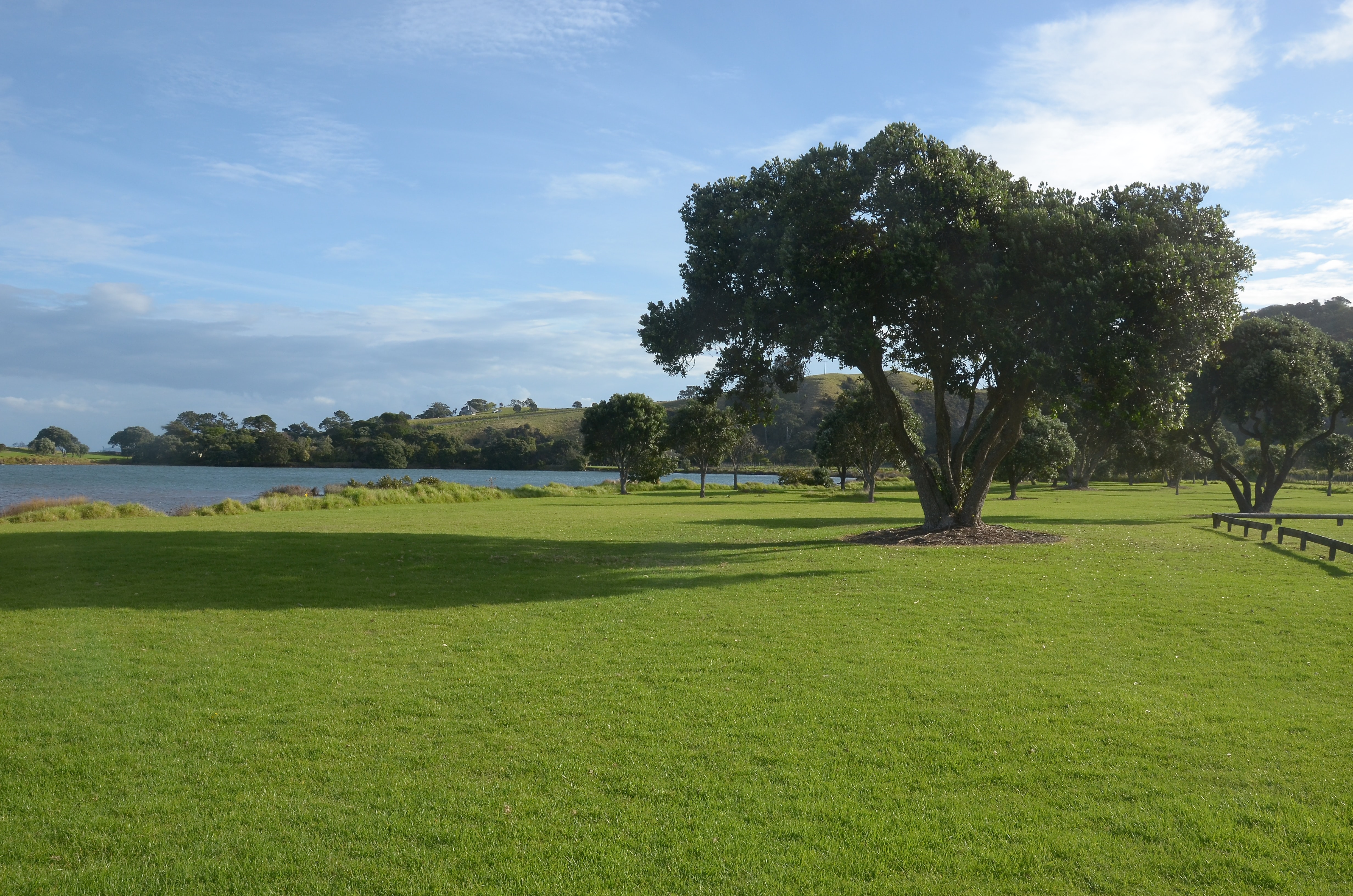 Family Friendly Parks in Howick and Pakuranga | Harcourts Landed ...