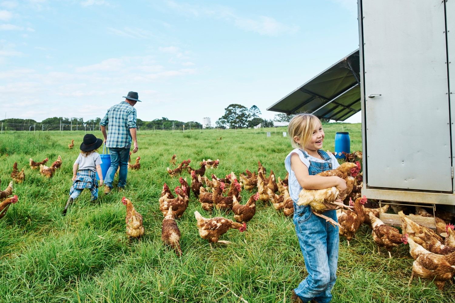 Guide to buying your dream rural property | Harcourts Home & Acreage ...