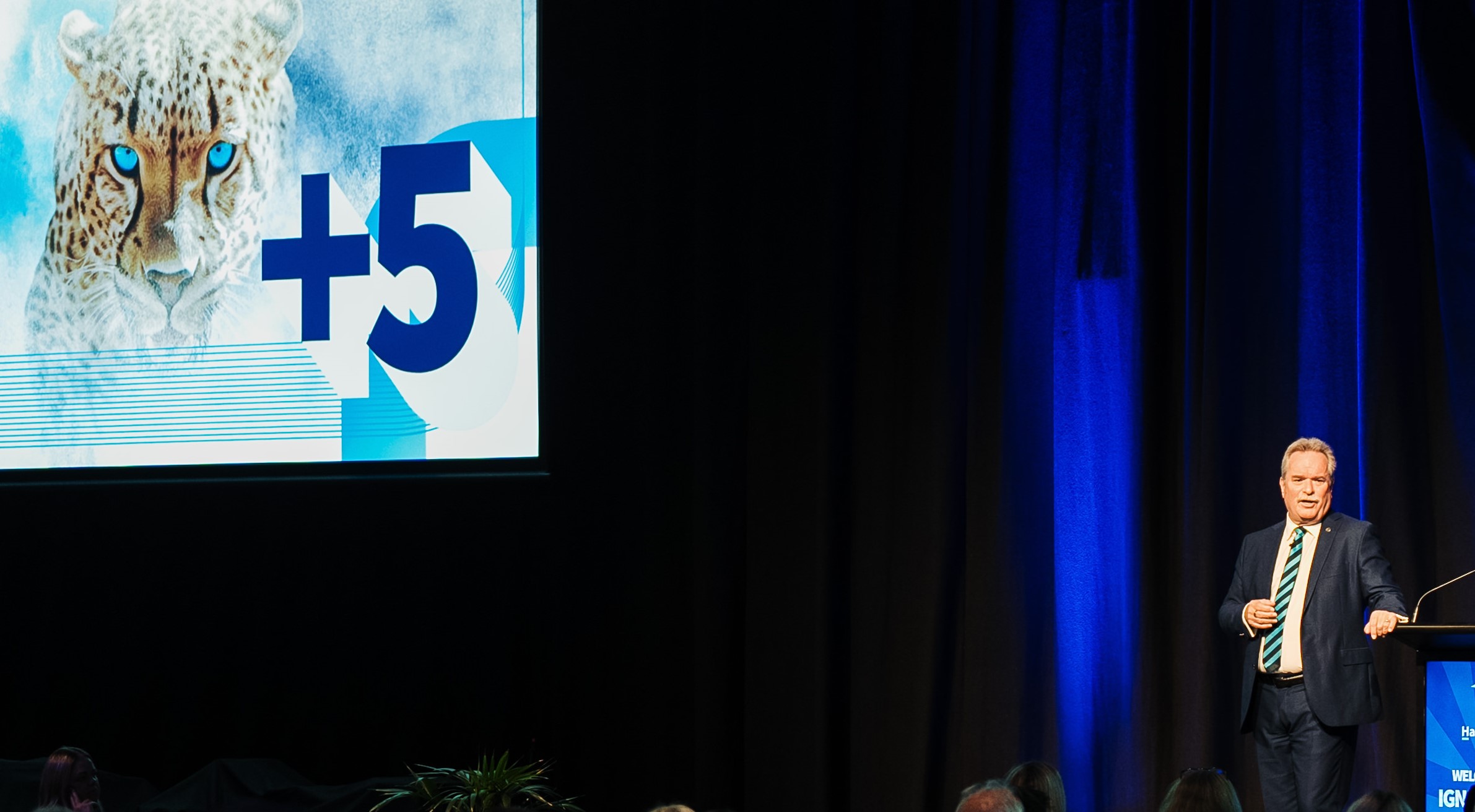 The '+5 Focus': Small Steps Lead to Big Wins | Resources | Harcourts ...