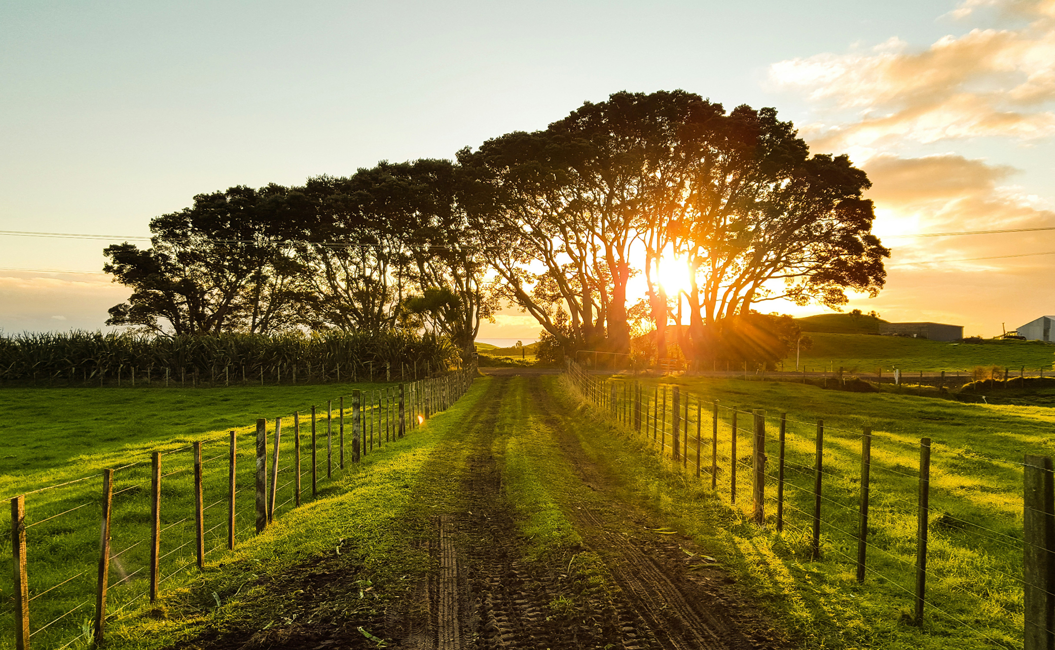 A practical guide to selling rural properties and lifestyle blocks in ...