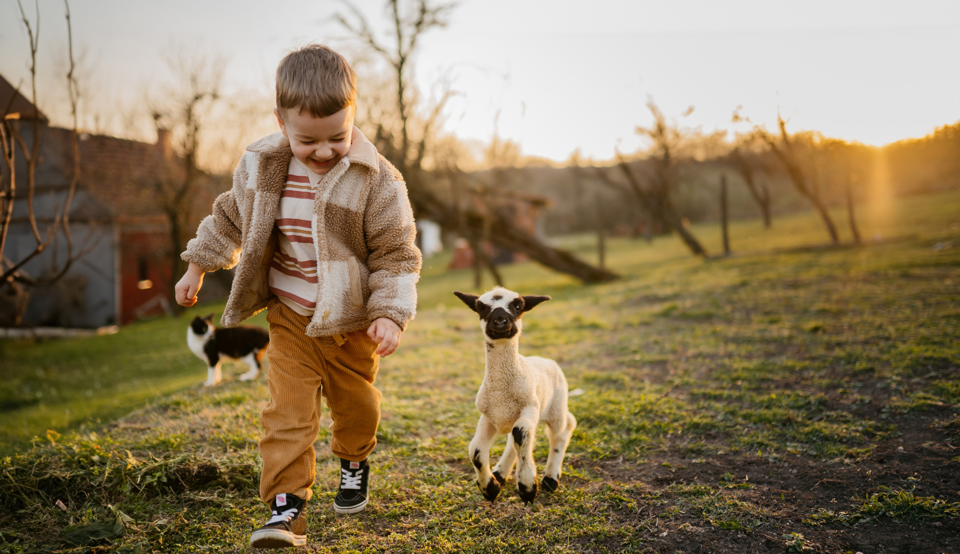 Rural Lifestyle Living on the Rise | Harcourts Four Seasons | Harcourts ...