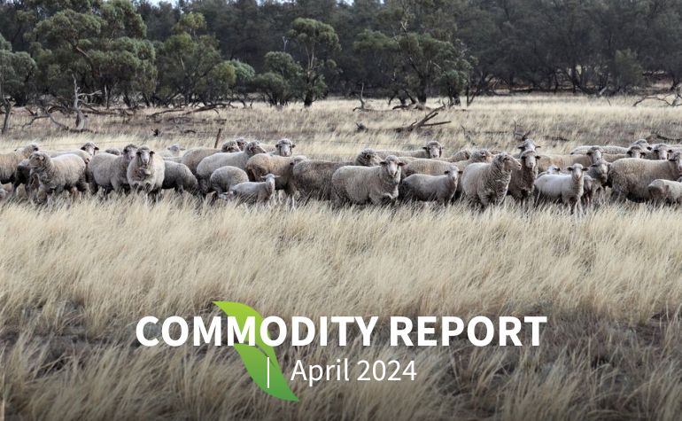 Commodity Report - April 2024 | Resources | Nutrien Harcourts Australia