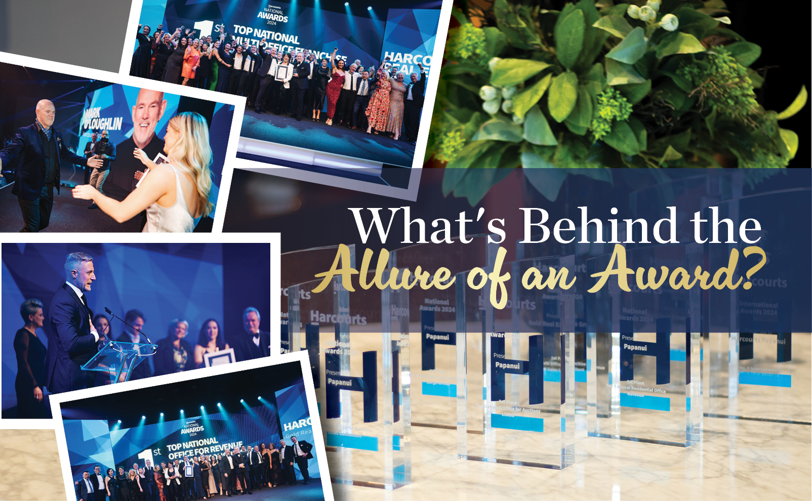 What's Behind the Allure of an Award | Harcourts Gold Resources ...