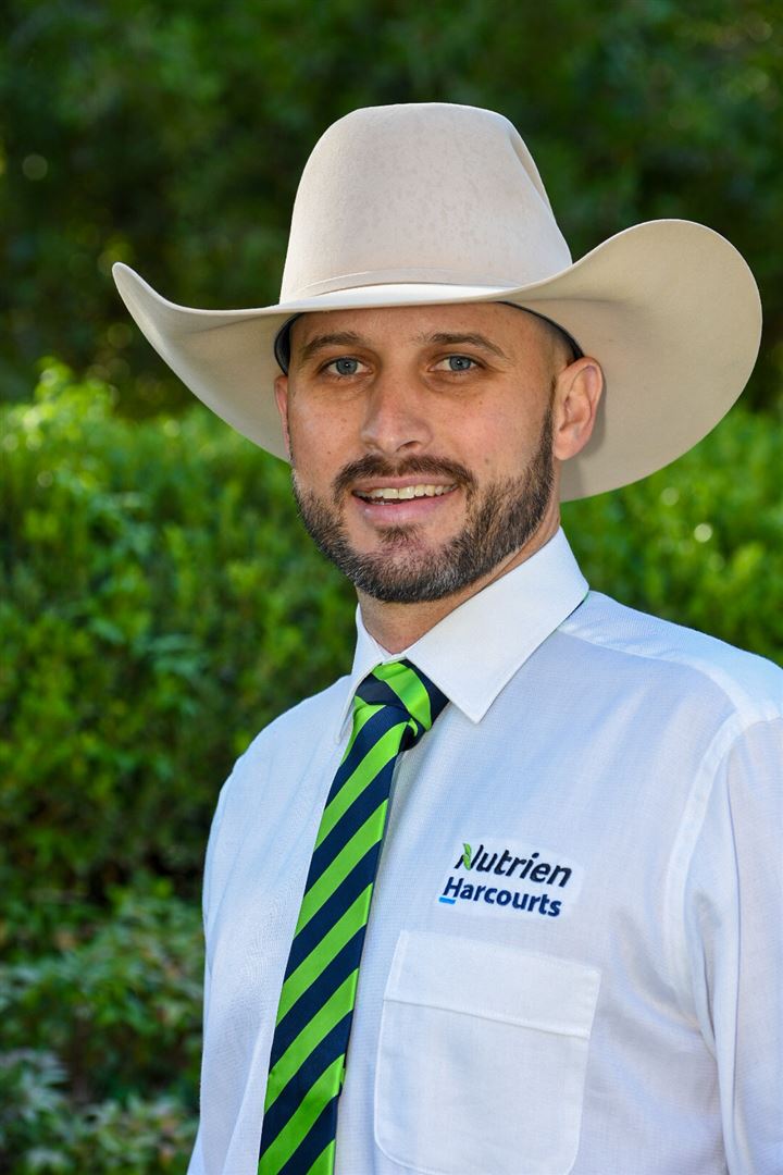 Clearing Sales | Nutrien Harcourts Tamworth | Nutrien Harcourts Australia